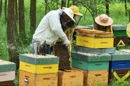 Real Honey | Authentic Honey Straight from the Beekeeper